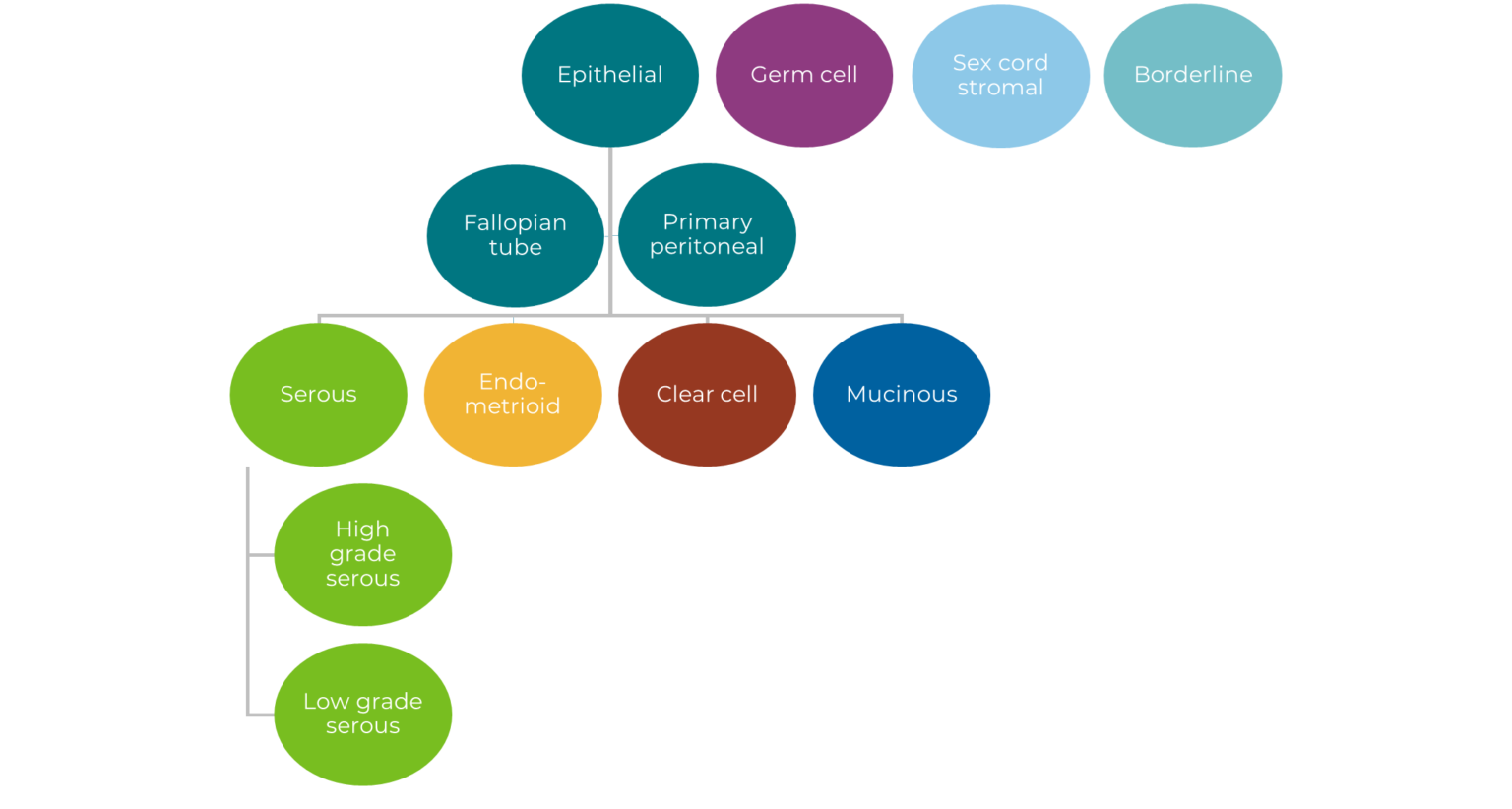 What Is Ovarian Cancer? – World Ovarian Cancer Coalition